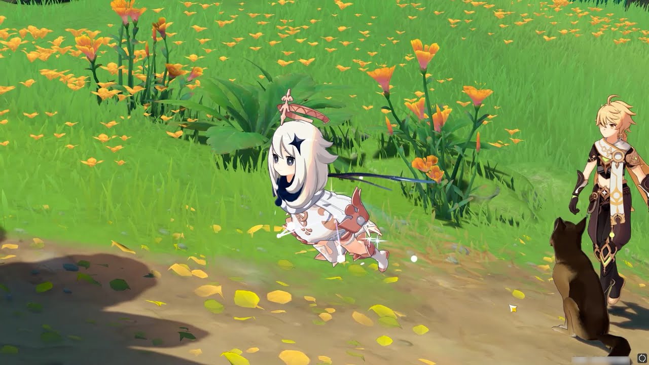 Dog Won't Let me Into Sumeru City :( - YouTube