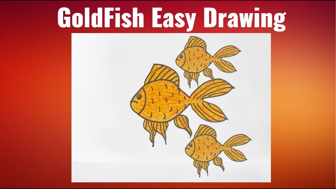 GoldFish 🐠 Easy Drawing | Step by Step Guide | How to draw Cute - YouTube