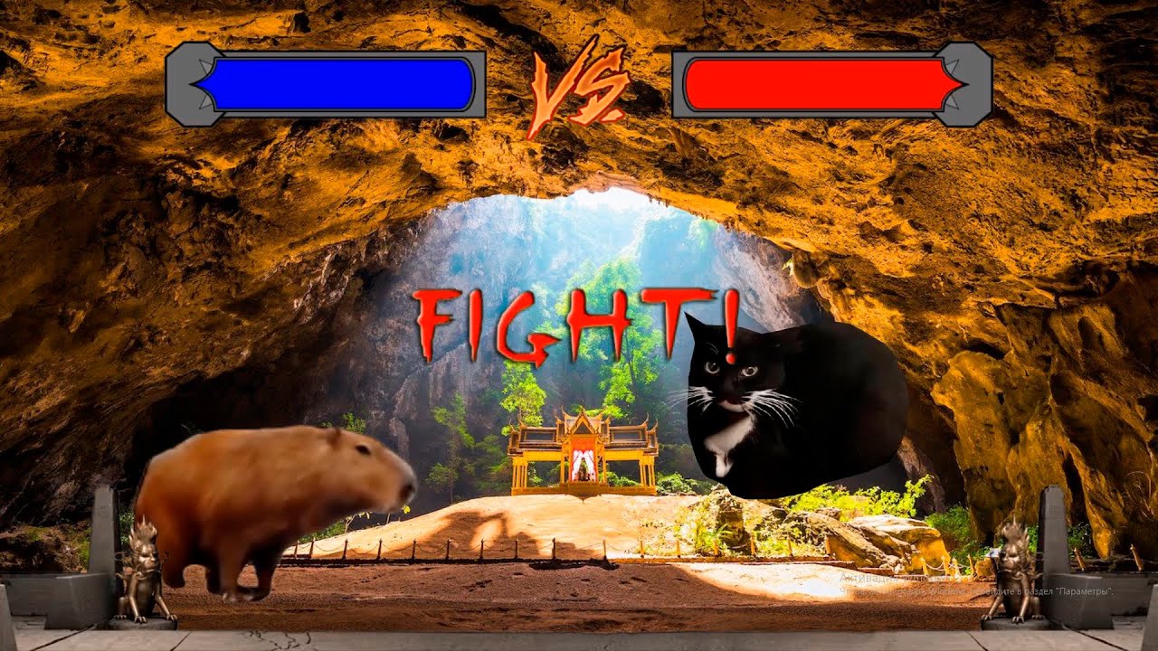 Maxwell cat vs Capybara - YouTube