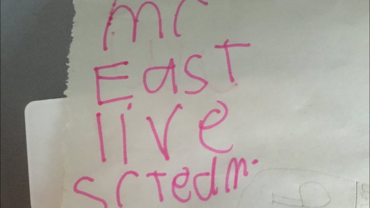 MrBeast VS MrEast ILVE STREAM - YouTube