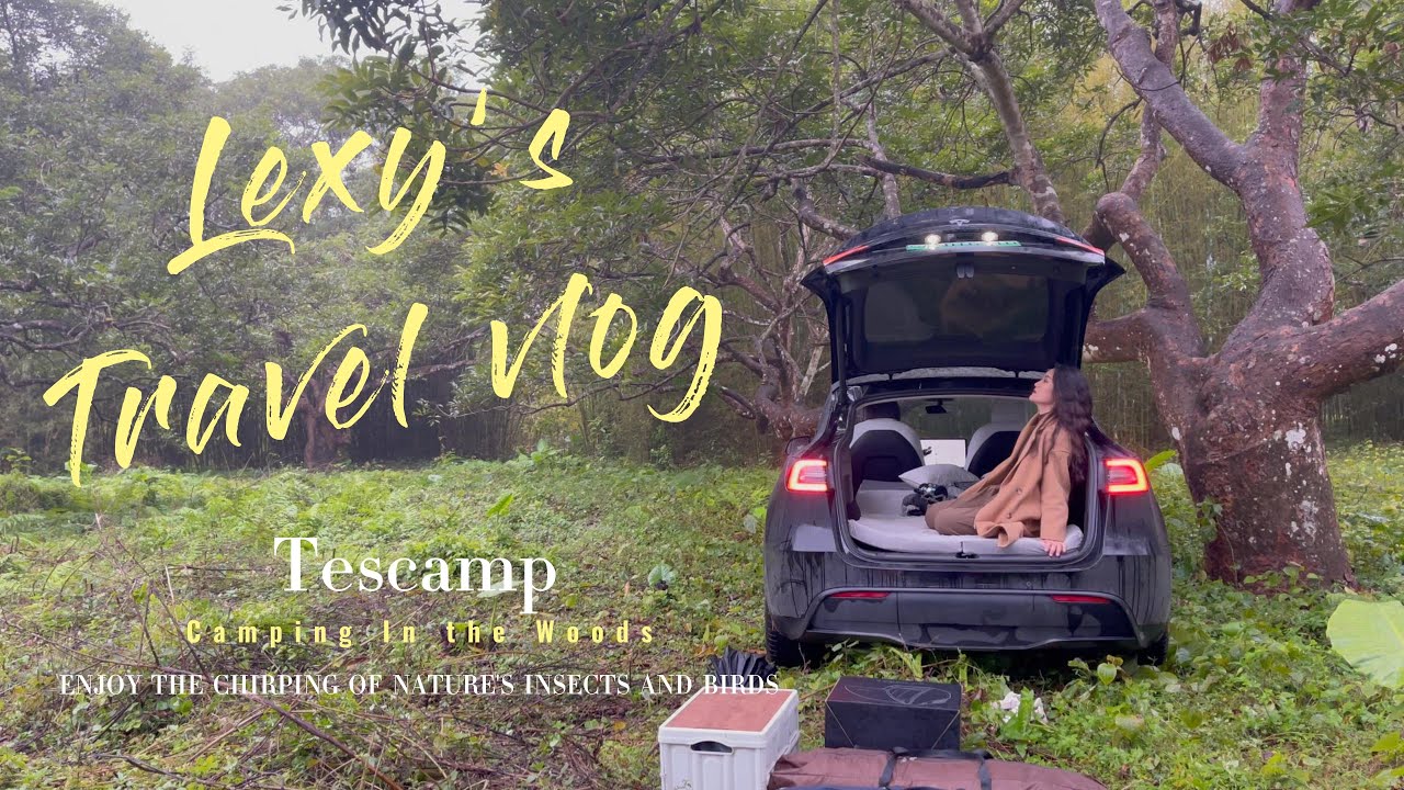 Marvel Woods Camping: Tesla Model Y x Tescamp - YouTube