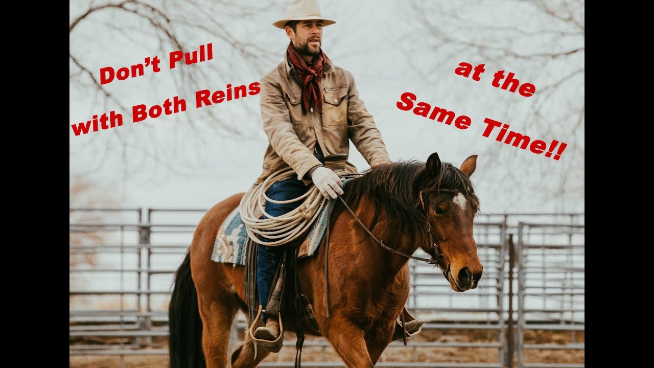 Never Pull With Both Reins at the Same Time - YouTube