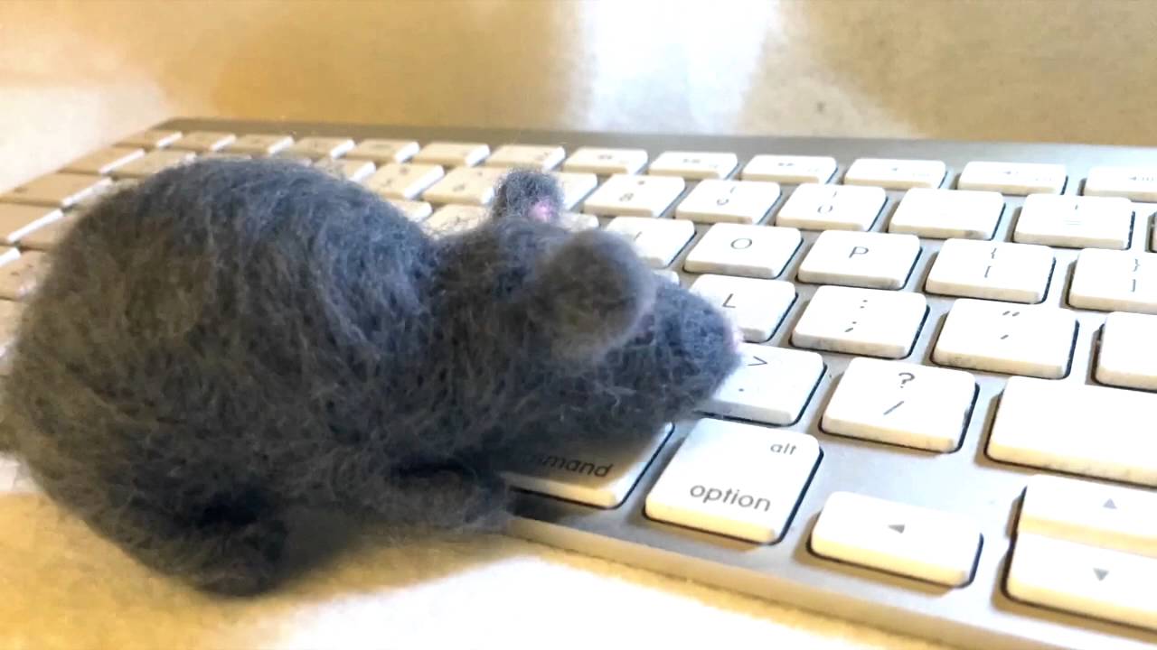 Mouse Typing on Computer - YouTube