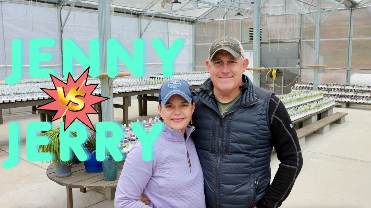 Jenny vs Jerry ~ The Great Shrub Debate - YouTube