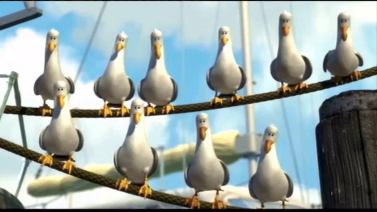 Finding nemo seagull - YouTube