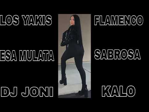 LOS YAKIS ESA MULATA SABROSA REMIX DJ JONI KALO