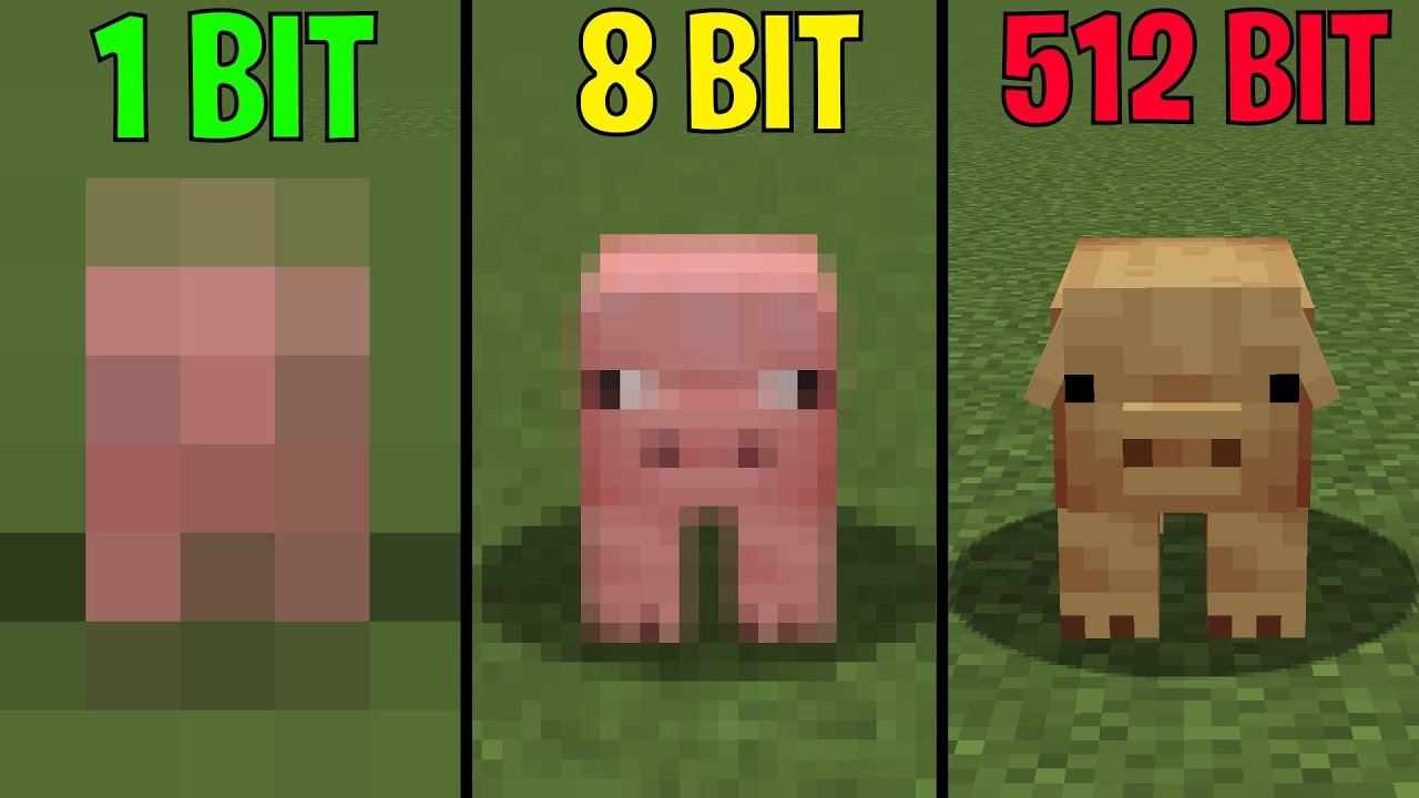 pig 1 bit 2 bit 4 bit 8 bit 16 bit 32 bit 64 bit 128 bits 256 bit 512 ...