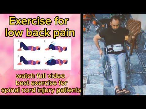 spinal cord injury part (7) best exercise for low back pain . - YouTube