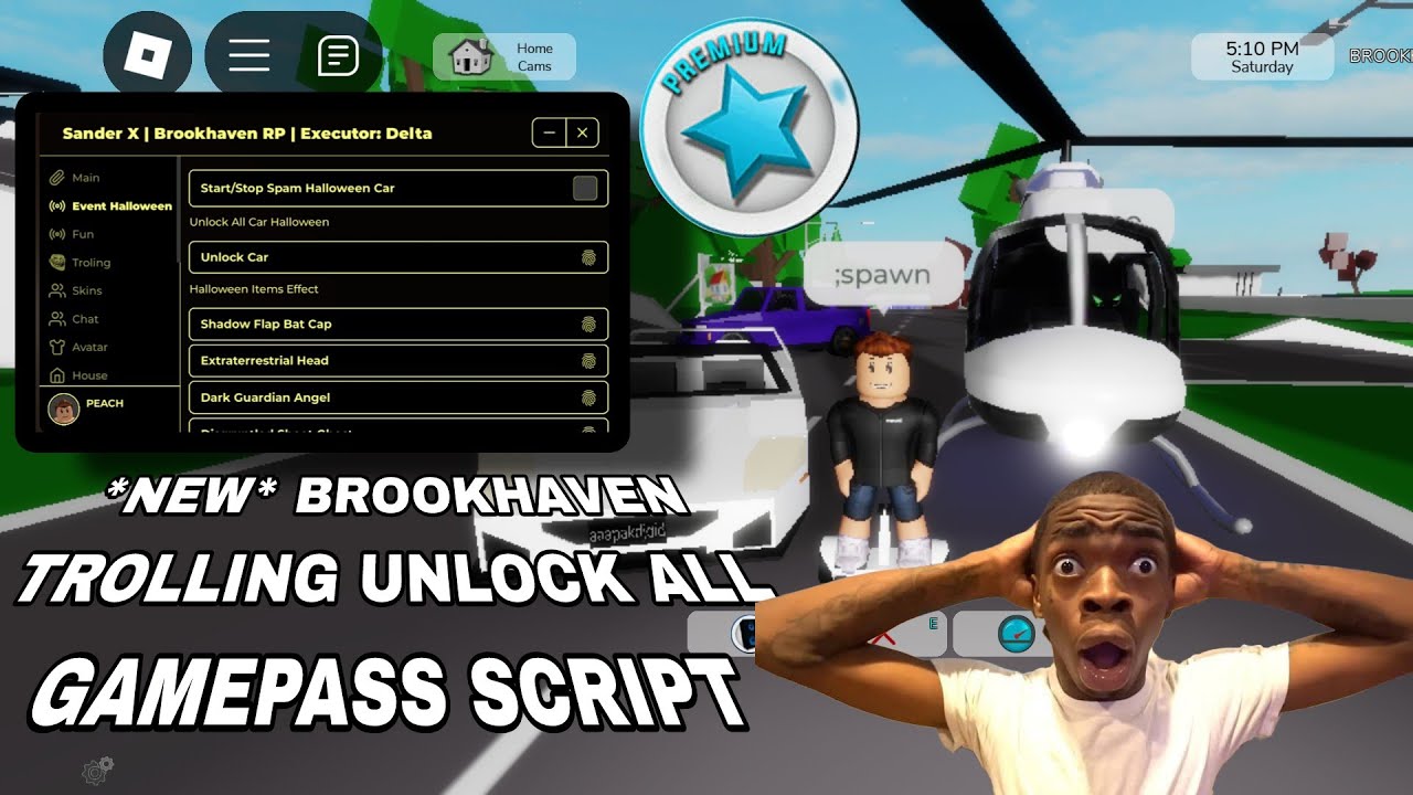 *NEW* Brookhaven Trolling Unlock All GAMEPASS Script | SndrX Fluxus ...