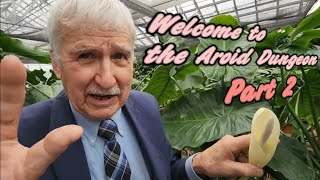 The Aroid Family, Part 2