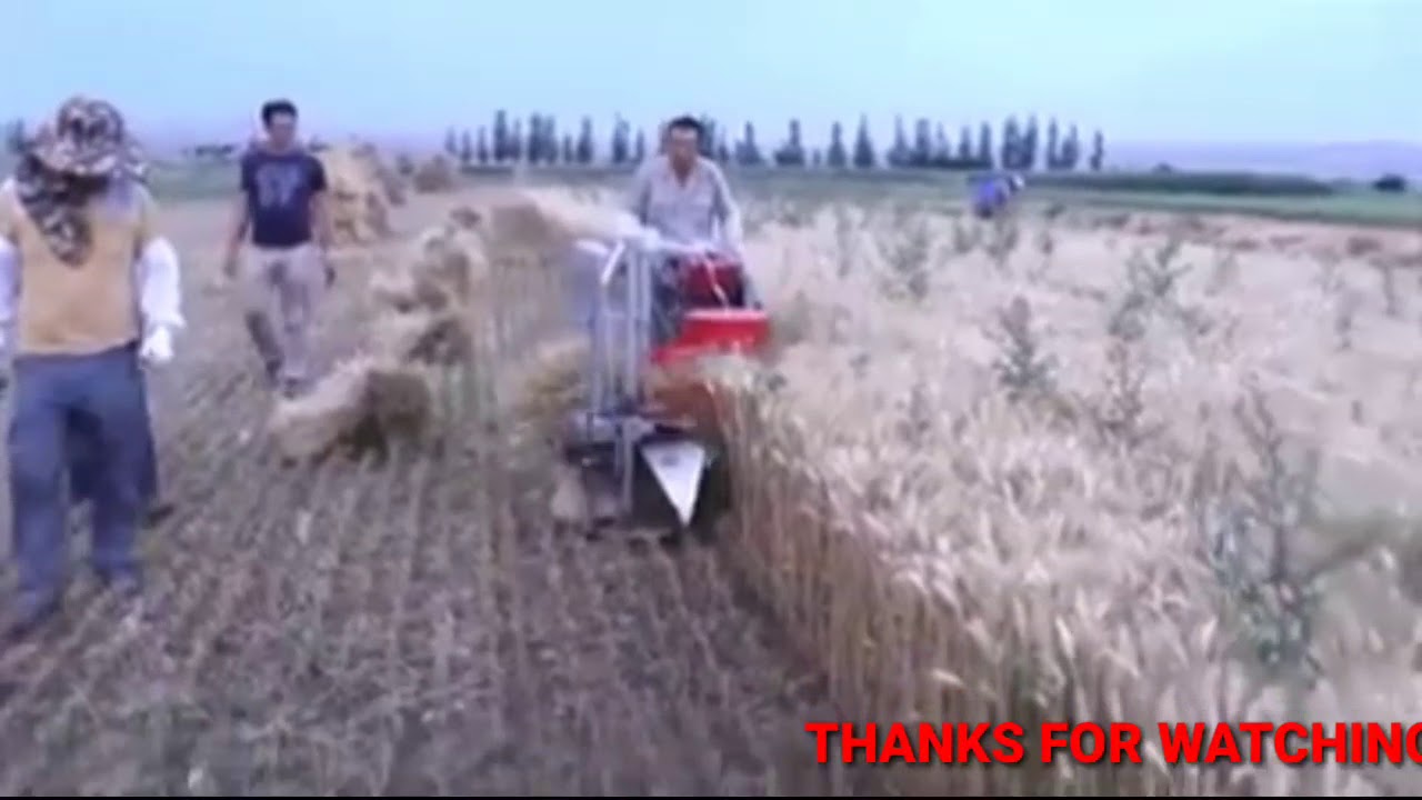 Wheat cutter harvester machine - YouTube