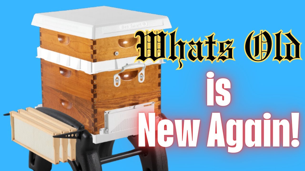 4 New Beekeeping Inventions that will make your beehive THRIVE - YouTube