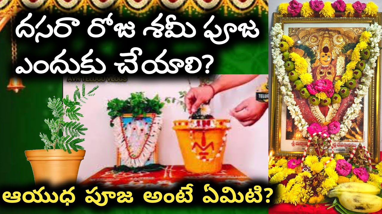 జమ్మి చెట్టు శమీ పూజ విధానం | ఆయుధ పూజ/ మంత్రం | Sami Vruksham Pooja ...