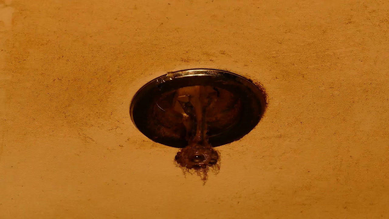 DISGUSTING CEILING TILE! | Deep Cleaning Ceiling Tiles Like Magic - YouTube