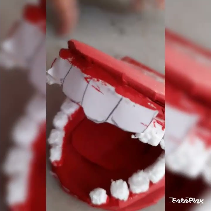 Teeth model with thermocol and cardboard - YouTube