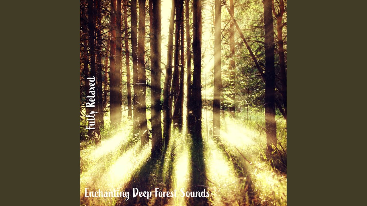 Enchanting Deep Forest Sounds, Pt. 15 - YouTube