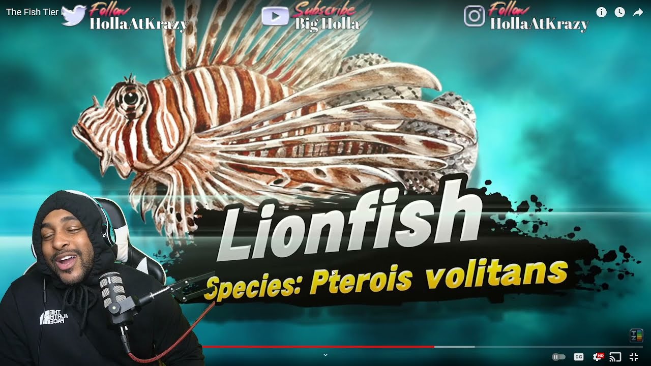 THESE FISH ARE TACTICAL | The Fish Tier List ( TierZoo ) - YouTube