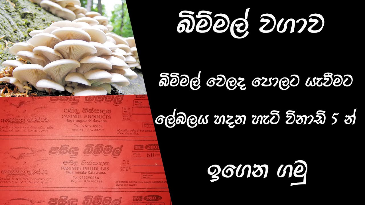 Bimmal Labels - YouTube