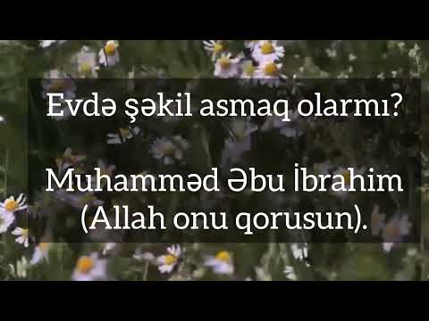 Evdə şəkil asmaq olarmı?- Muhamməd Əbu İbrahim