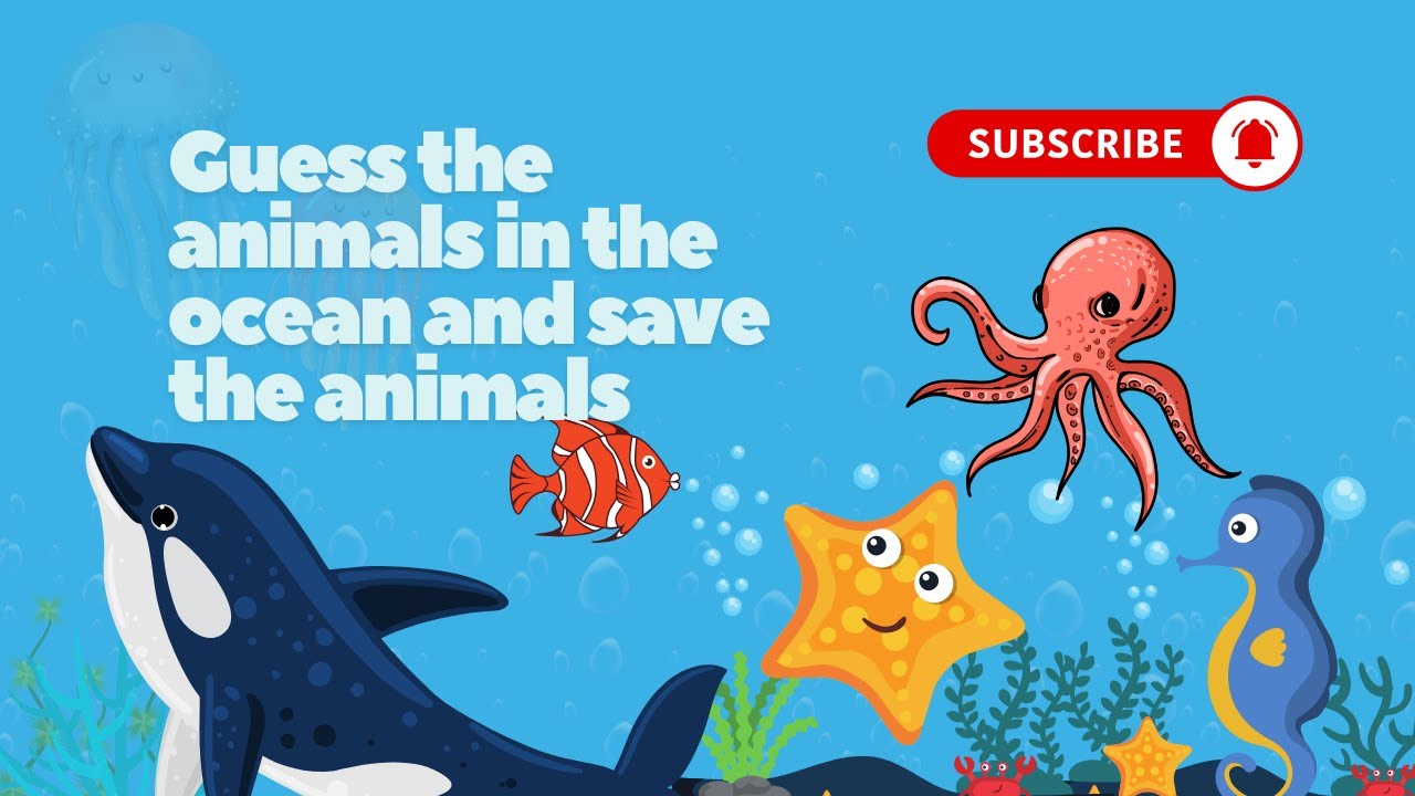 Guess the animals in the ocean and save the animals - YouTube