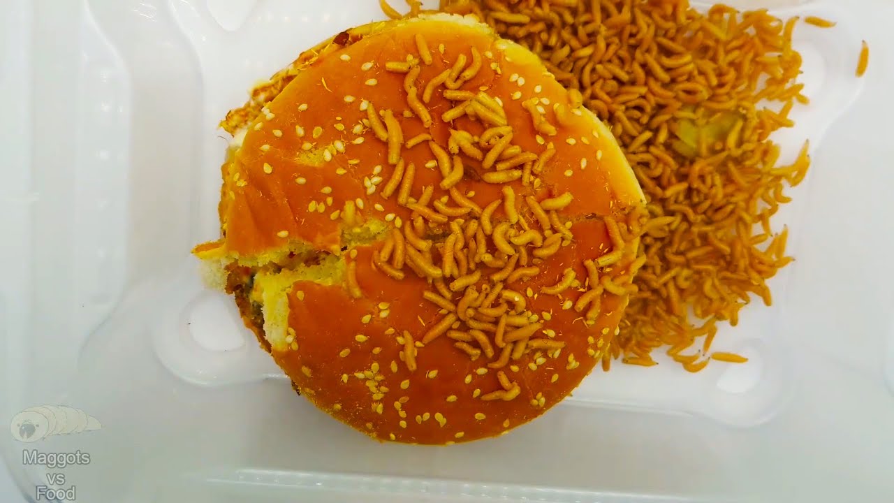 Maggots vs Burger King Whopper (Burger King Whopper Eaten By Maggots ...