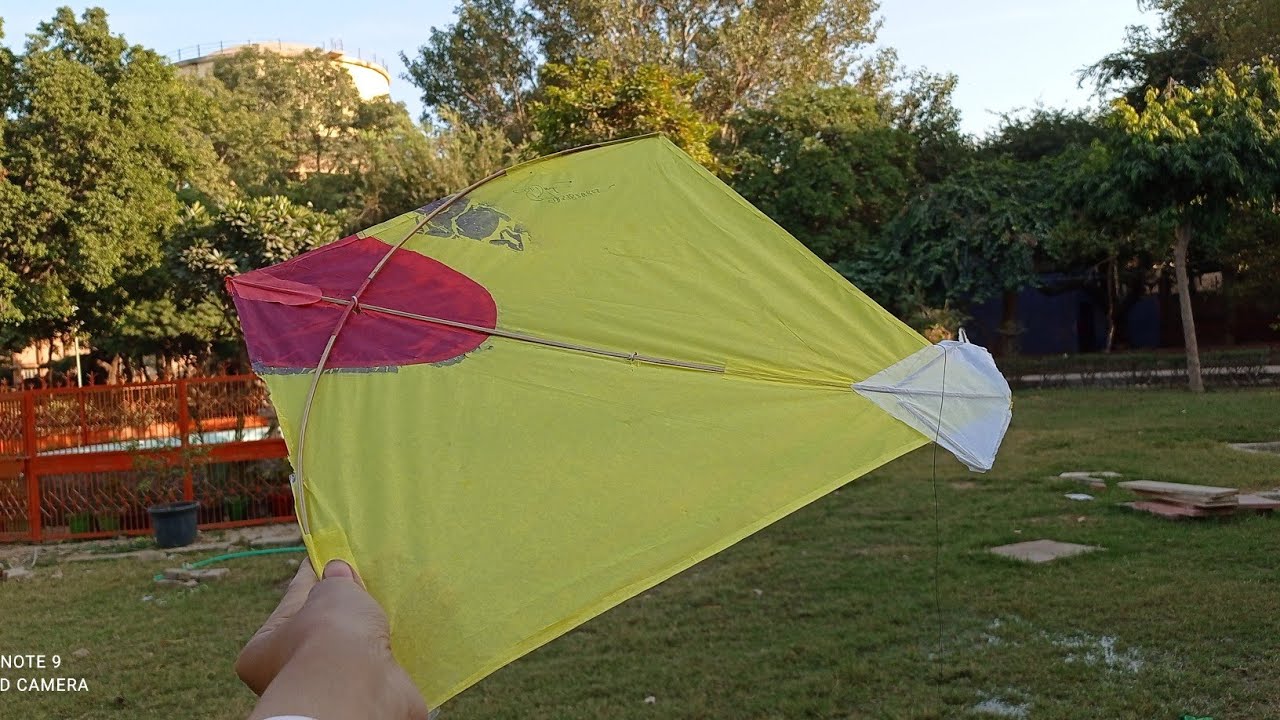 Caught Kites | lotting Kite forest | Kite Catching | Kites | - YouTube