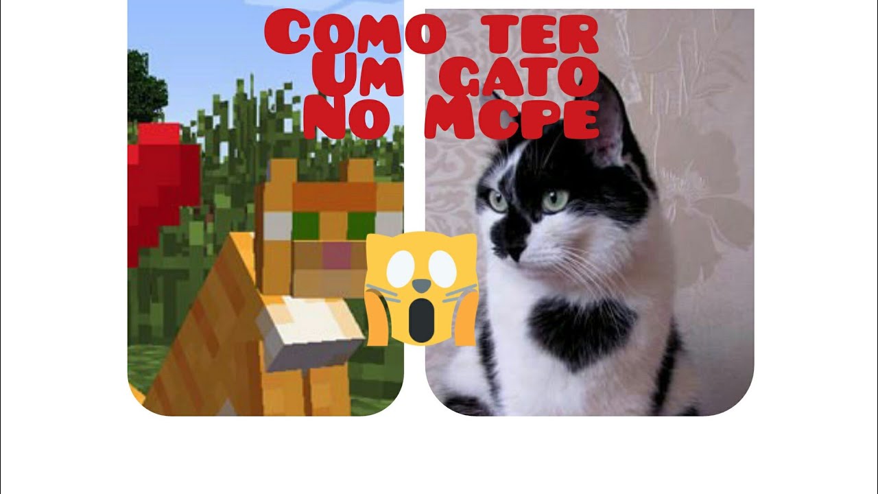 Minecraft AdJ:como ter um gato de estimação - YouTube
