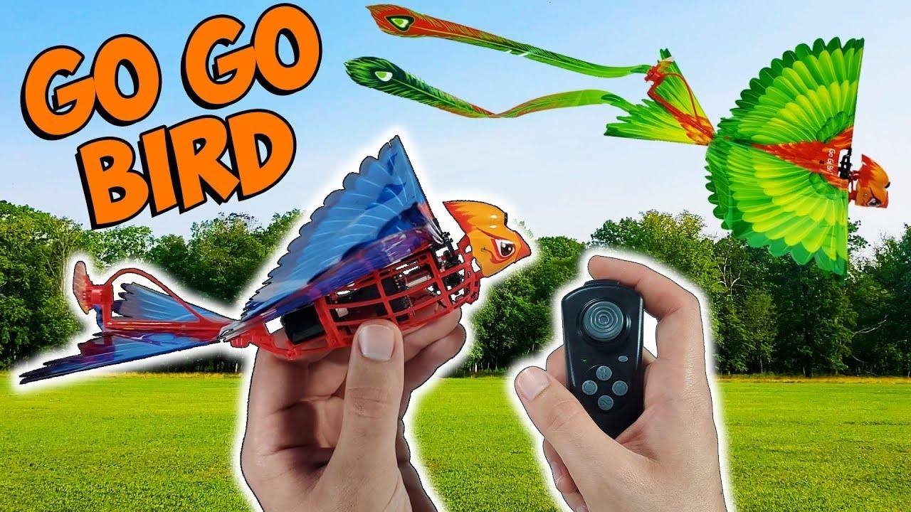 Remote Control Rc Flying Birds Review - YouTube