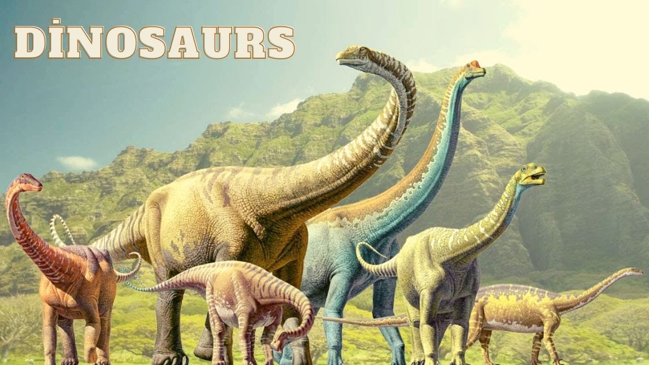 The Mysterious World of Dinosaurs | Journey to Prehistory - YouTube