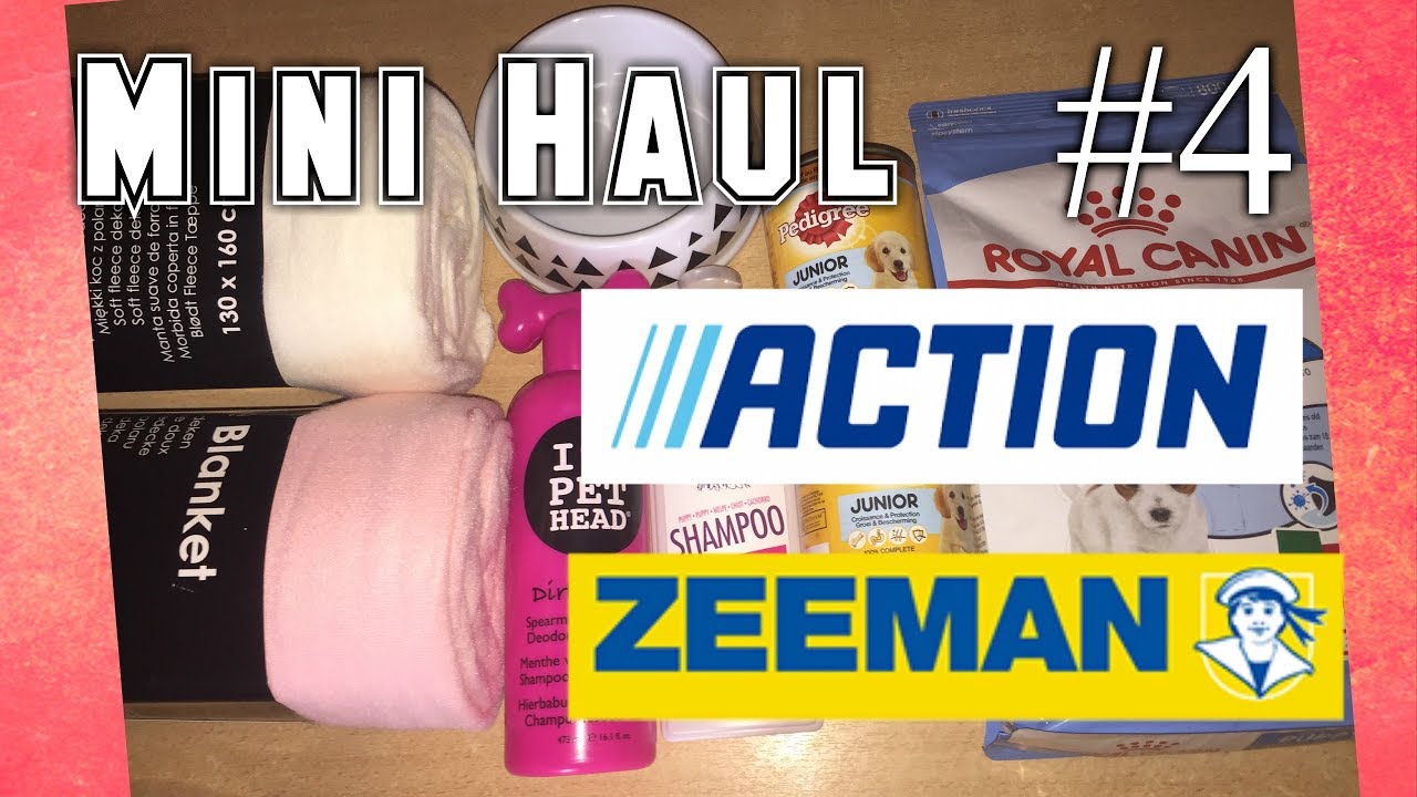 Haul Zeeman #4 - Shopping pour mes petits chiens - YouTube
