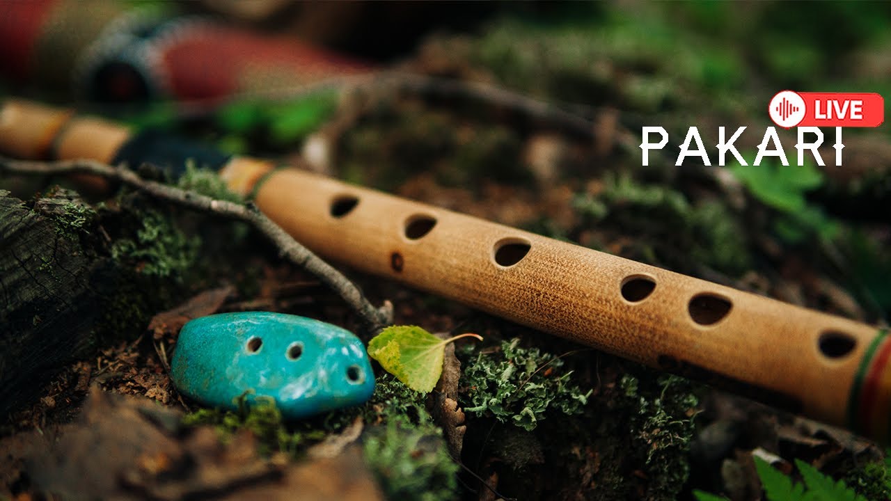 Pakari - Enchanting Sounds of the Andes🌽🌱 - YouTube