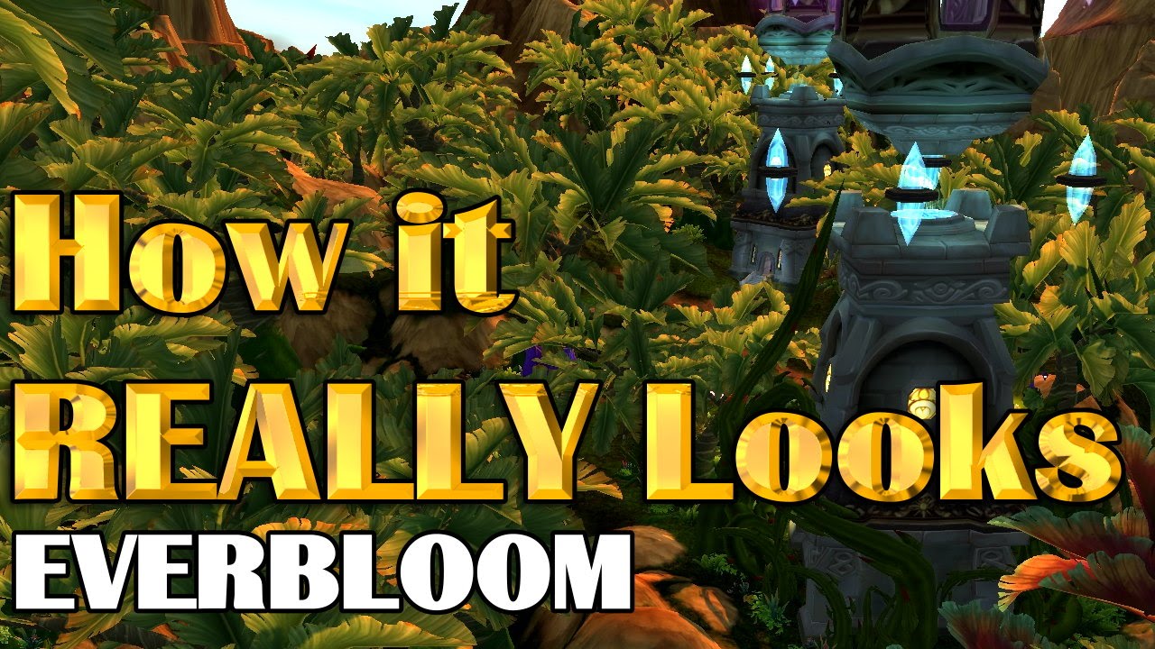 How it REALLY Looks - The Everbloom - YouTube