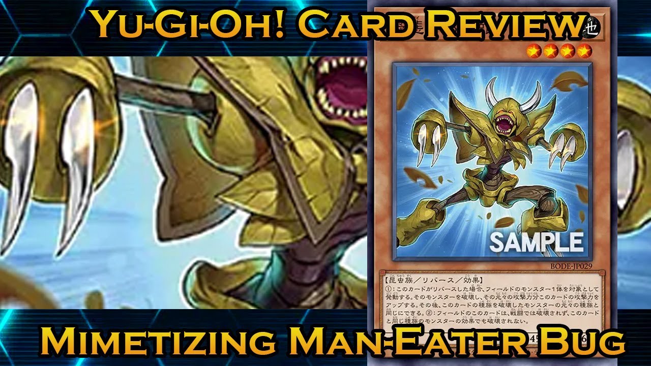 Yu-Gi-Oh! Mimetizing Man-Eater Bug Card Review Burst of Destiny - Man-Eater Bug Retrain? - YouTube
