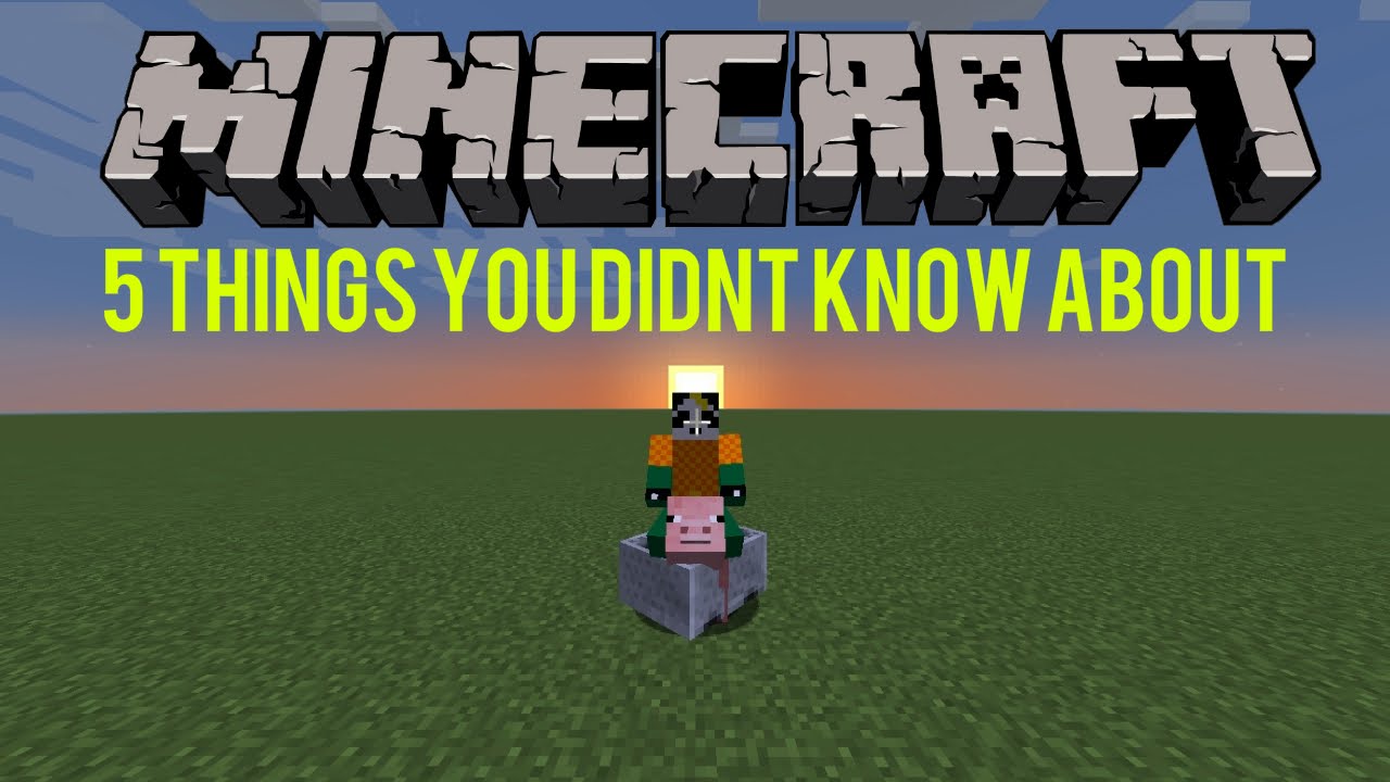 5 Thing You Dint Know About Minecraft - YouTube