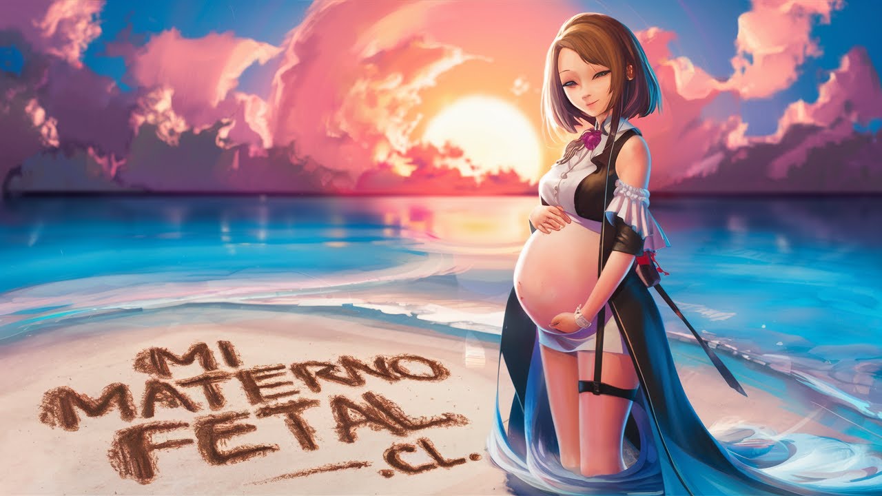Intro MiMaternoFetal.cl - YouTube
