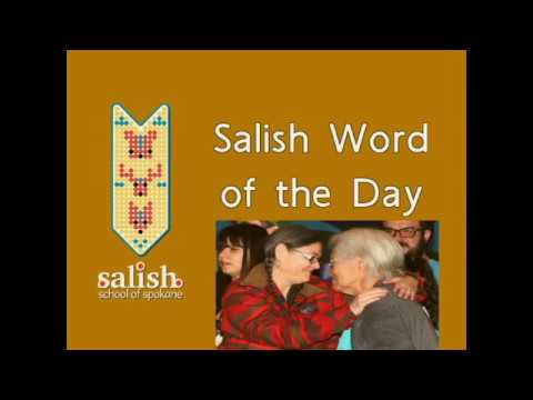 Salish Word of the Day 402 tax̌t / bitter - YouTube