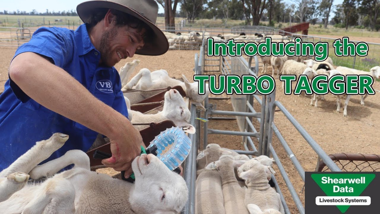 Turbo Tagger SHEARWELL AUSTRALIA - YouTube