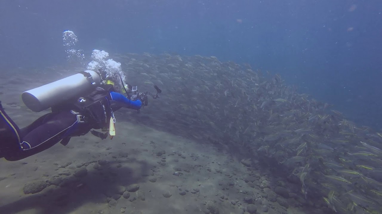 Beautiful dive with tropical fish at Tulamben, Bali - YouTube