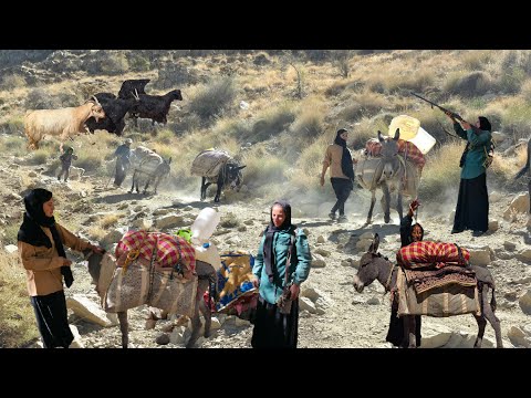Göçebe kızların zorlu dağ yollarından geçerek coşkun bir nehrin kıyısına göçü 🌊