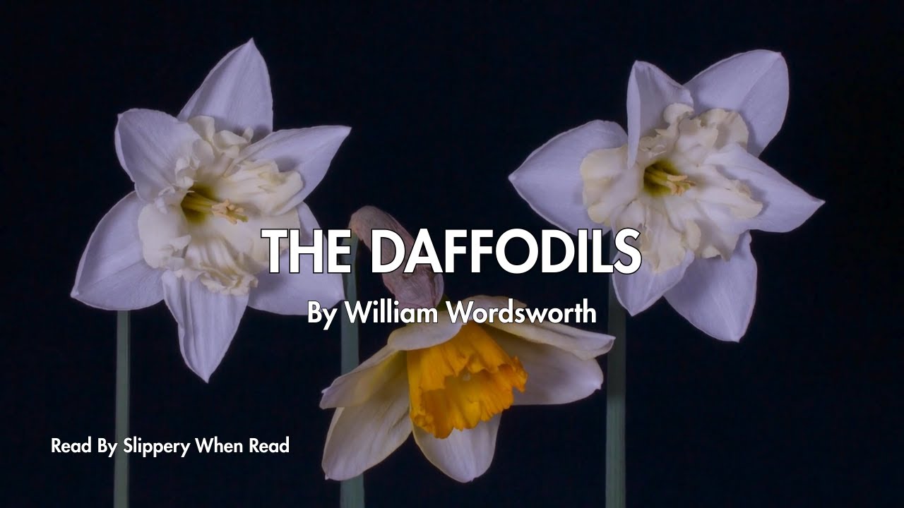The Daffodils - By William Wordsworth - YouTube