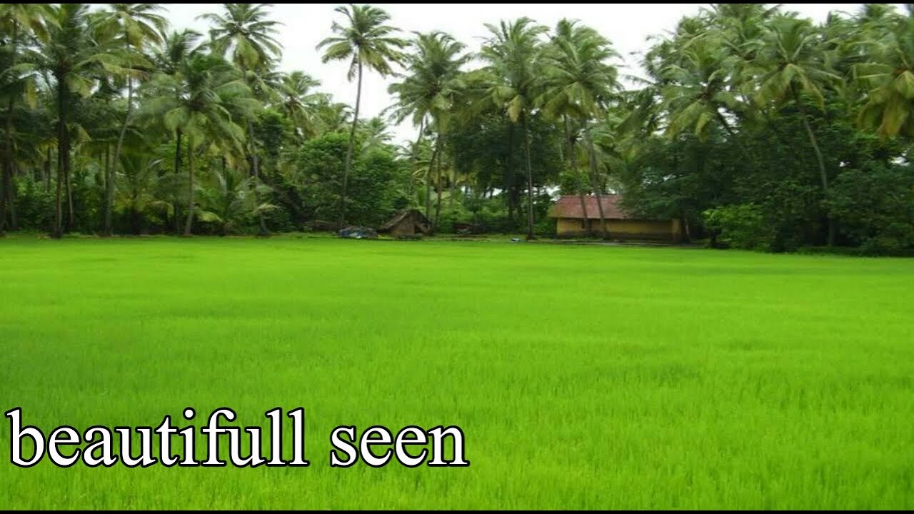 Barish in punjab,Barish in pakistan,beautiful seen - YouTube