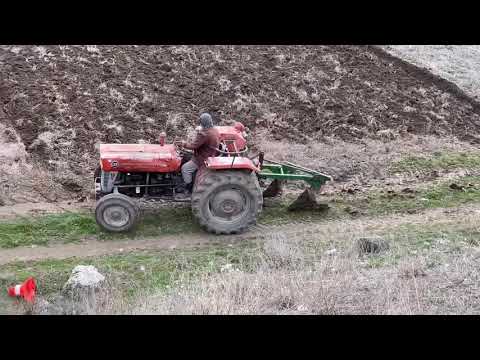 MASSEY FERGUSON 135 İKİLİ PULLUK NADASI