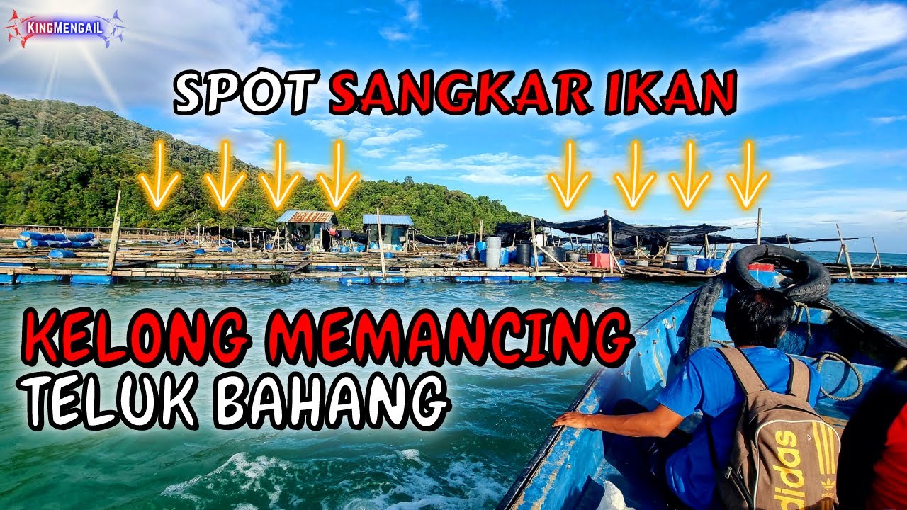 𝐌𝐄𝐌𝐀𝐍𝐂𝐈𝐍𝐆 𝐃𝐈 𝐊𝐄𝐋𝐎𝐍𝐆 𝐓𝐄𝐋𝐔𝐊 𝐁𝐀𝐇𝐀𝐍𝐆 𝐏𝐔𝐋𝐀𝐔 𝐏𝐈𝐍𝐀𝐍𝐆 - YouTube