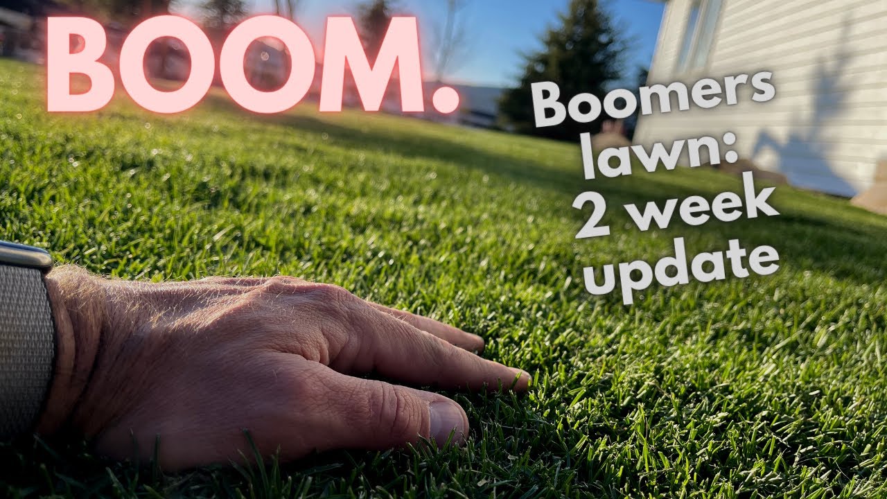 HEY BOOMER, Your lawn SUCKS! Update - YouTube