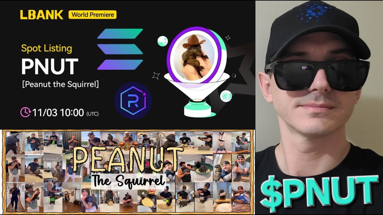 $PNUT - PEANUT THE SQUIRREL TOKEN CRYPTO COIN HOW TO BUY PNUT LBANK ...