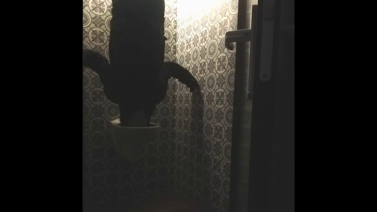 House Noises - YouTube