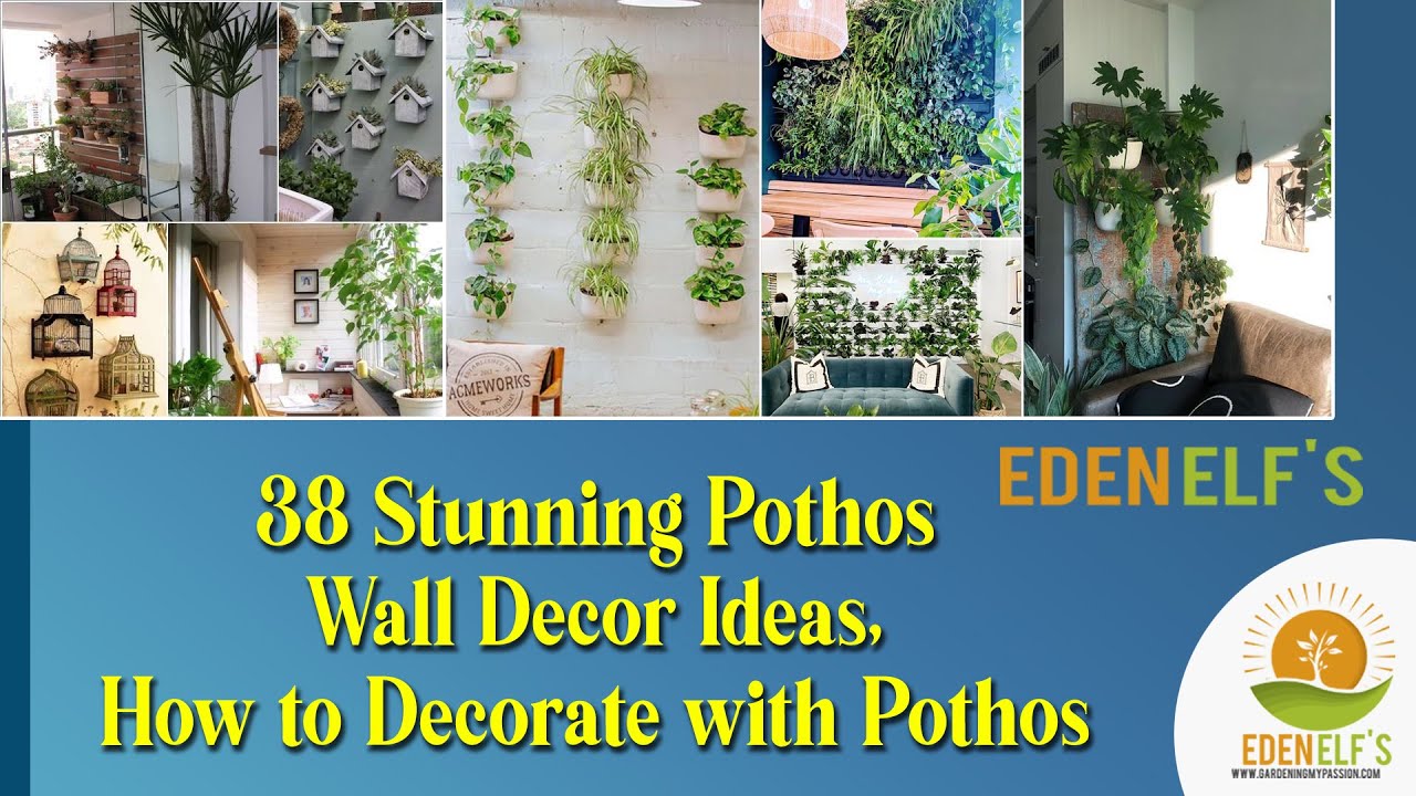 How to Decorate with Pothos | 38 Stunning Pothos Wall Decor Ideas | How ...