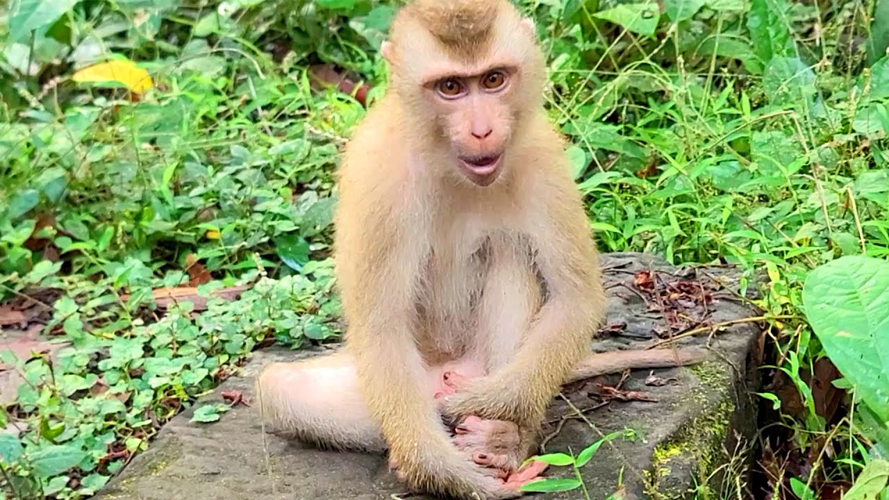 Cute boy Ricky get foods from us - YouTube