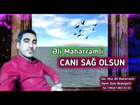 Eli Meherremli. Canı sağ olsun. 2020.