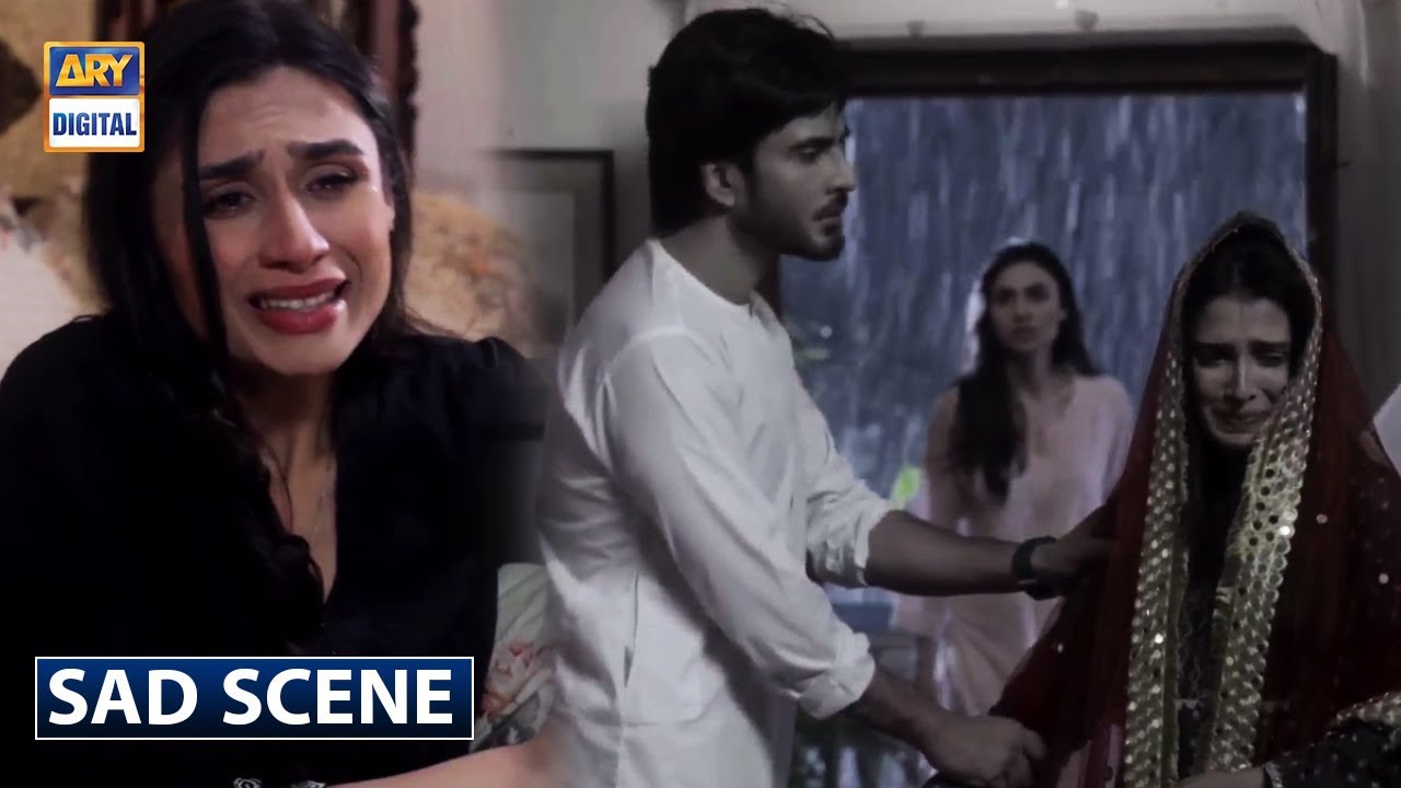 Qudrat Aur Halat Nay Hum Dono Ko Dushman Banadiya Hai - Mashal Khan ...